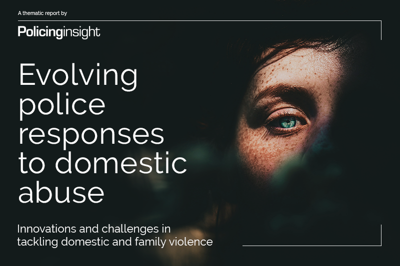 Evolving police responses to domestic abuse: Innovations and challenges ...
