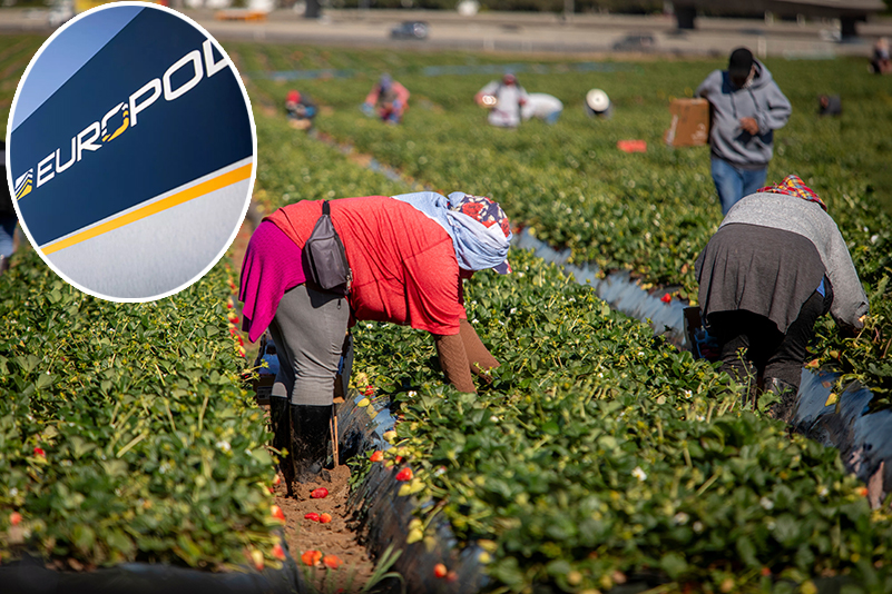 Europol human trafficking joint action days: Combating labour ...